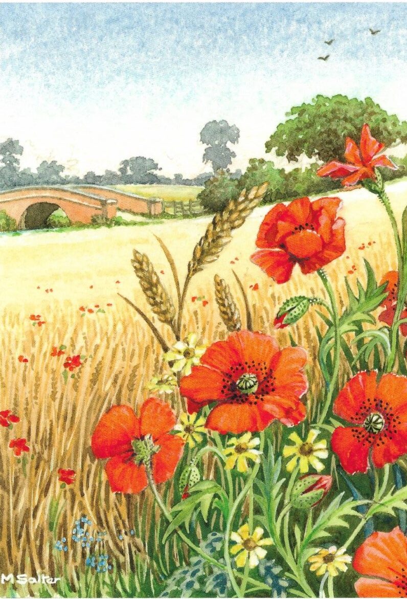 Poppy scene | GD Publishing